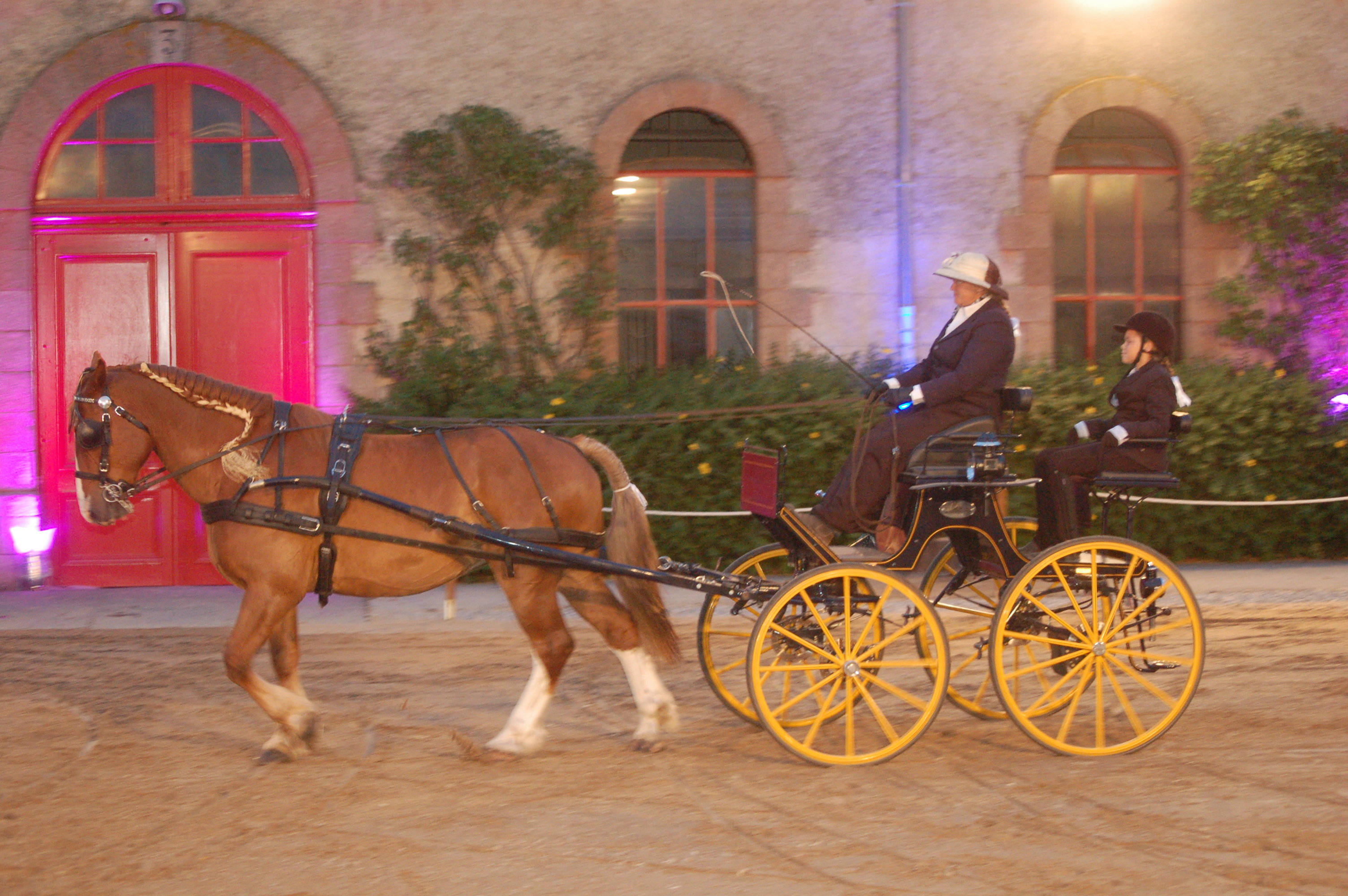 DSC_3762 - Attelage AR MANER